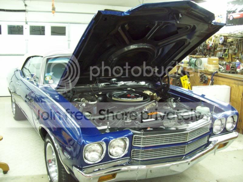 I love engine compartment pics. - Page 2 - CorvetteForum - Chevrolet ...